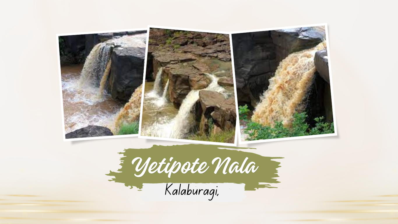 Unleash Your Inner Explorer: Trekking and Waterfalls at Yetipote Nala ...